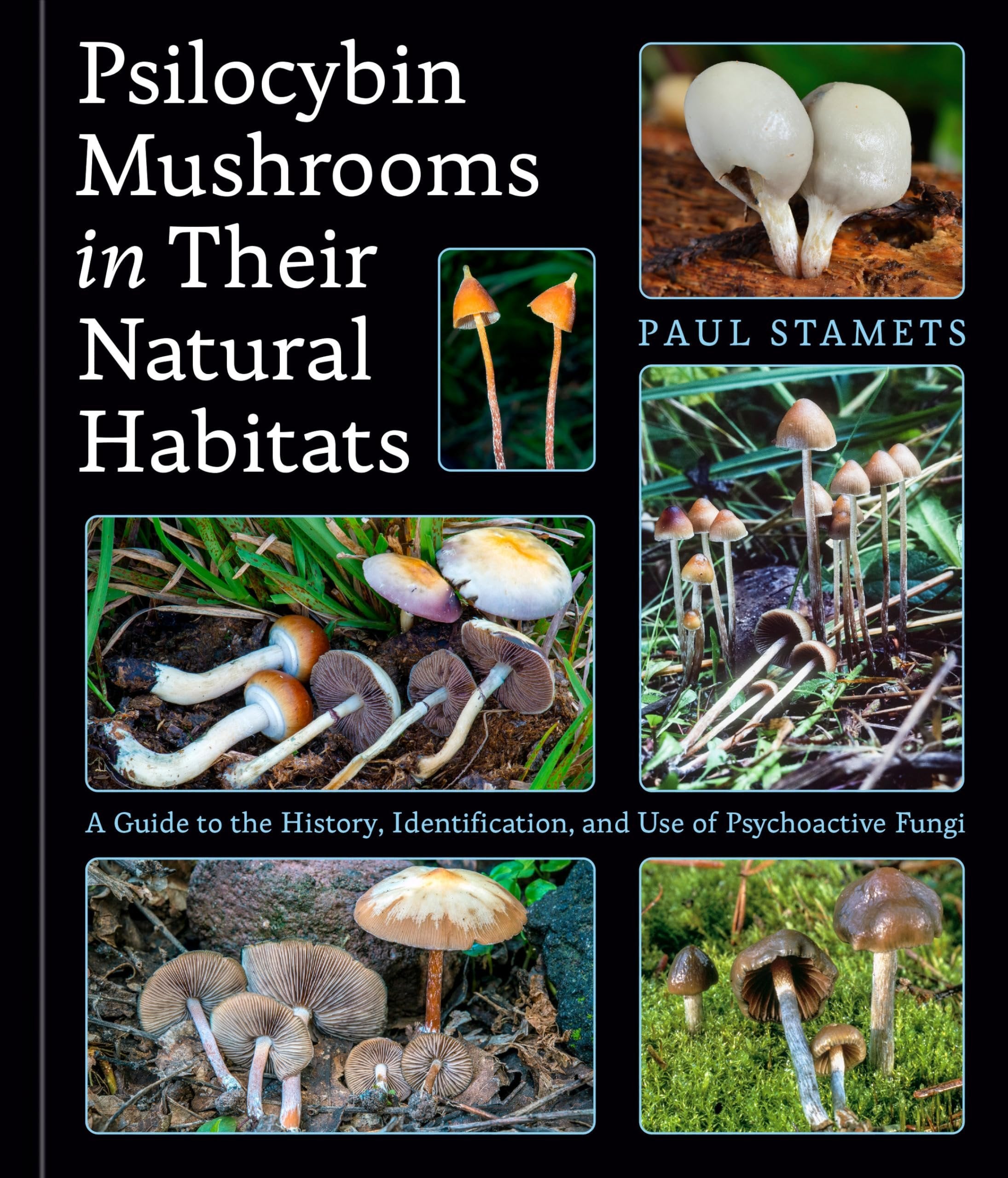 Psilocybin Mushrooms in Their Natural Habitats: A Guide to the History ...